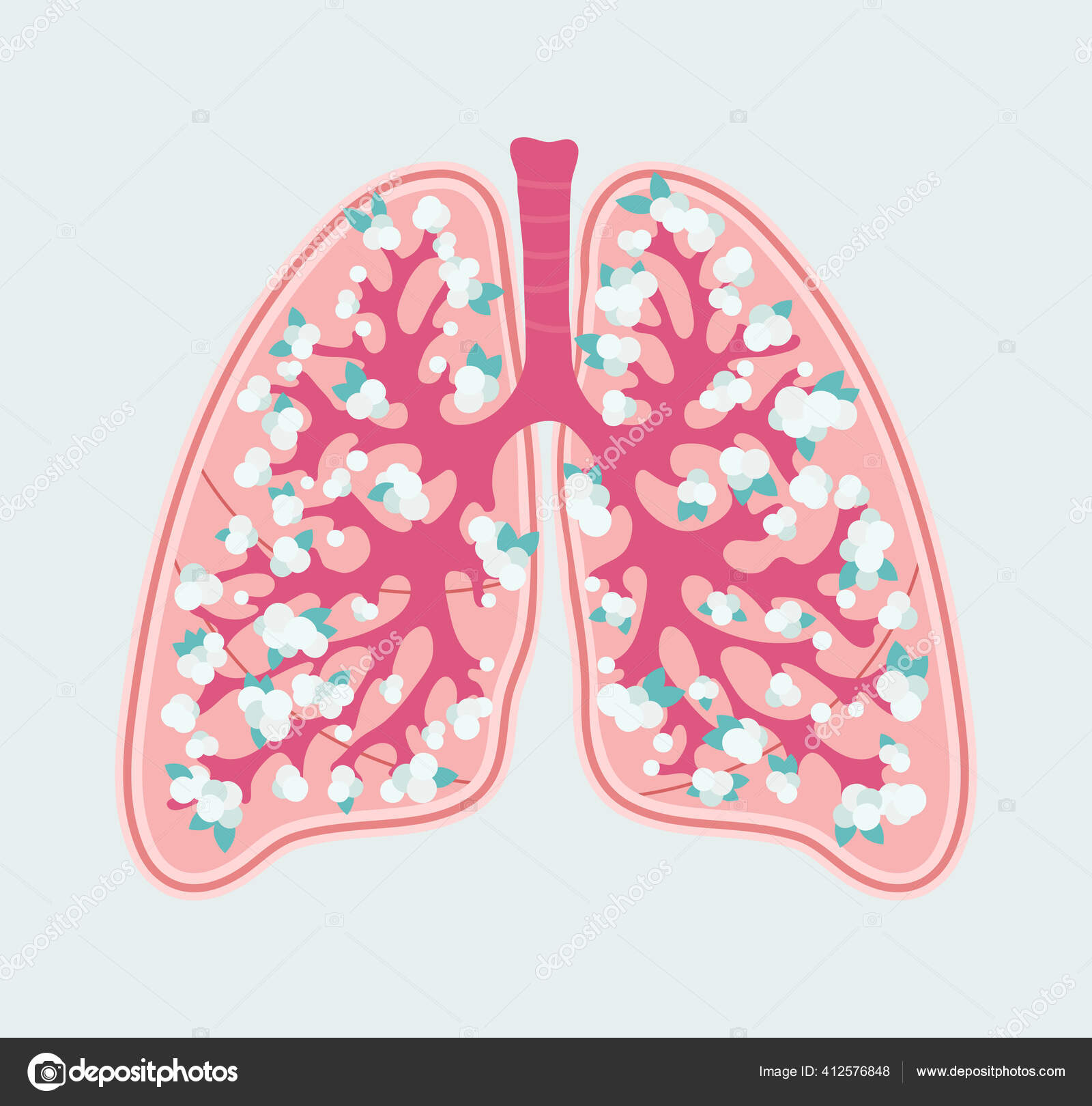 Patientvänliga blomsterprogram Friska mänskliga lungor och alveoler ...