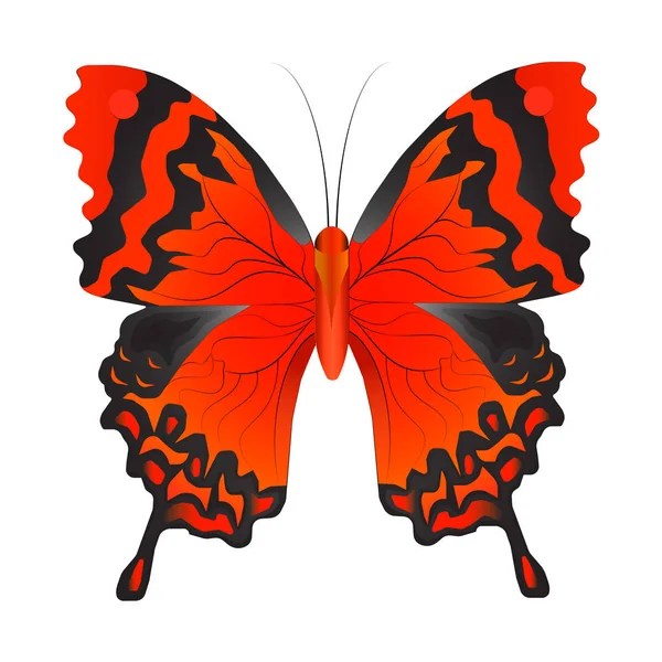 Mariposa roja imágenes de stock de arte vectorial | Depositphotos