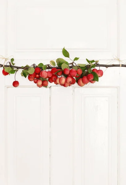 Autumn door decoration made of paradise apples (Malus pumila Mil ...