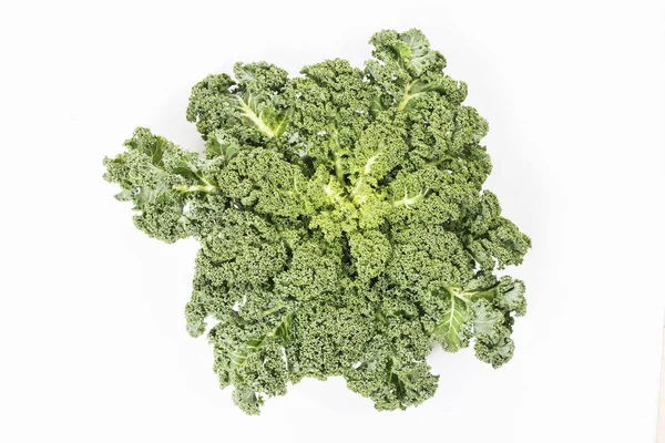 Italian kale Stock Photos, Royalty Free Italian kale Images | Depositphotos