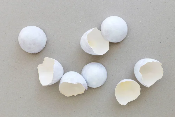 Egg shells Stock Photos, Royalty Free Egg shells Images | Depositphotos