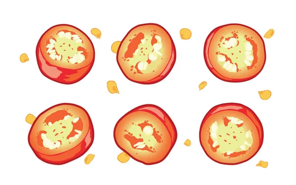 Desenho fases tomate Vector Images | Depositphotos