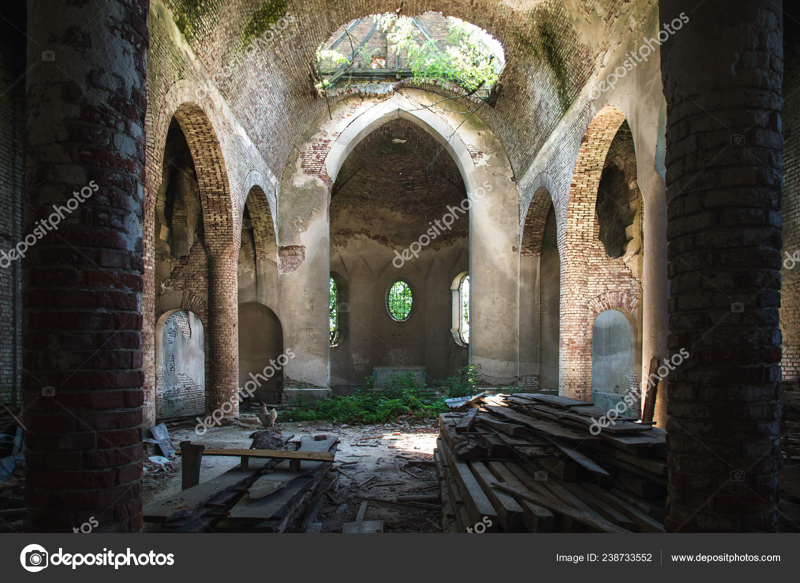 Inside Castle Ruins