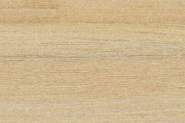 Oak tree structure Stock Photos, Royalty Free Oak tree structure Images ...