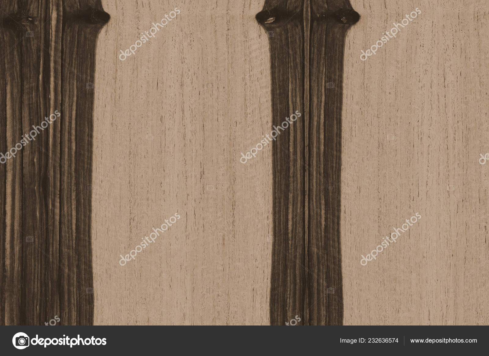 African Ebony Tree Wooden Structure Texture Background Wallpaper ...