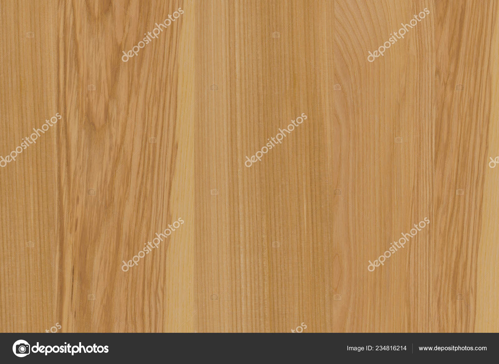 Ash Tree Tree Wood Structure Texture Background Surface Wallpaper Stock ...