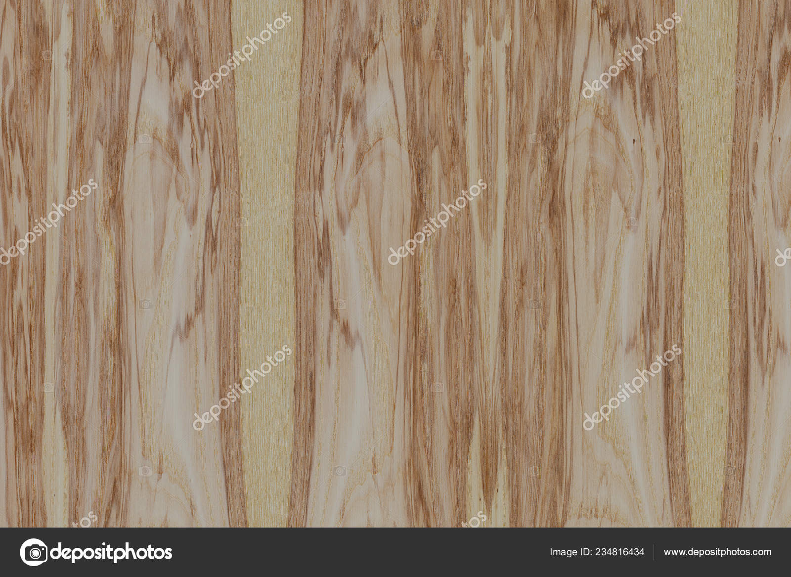 Ash Tree Tree Wood Structure Texture Background Surface Wallpaper ...