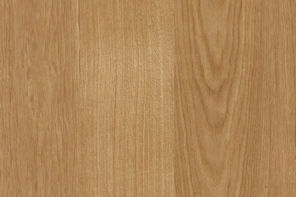 Oak Tree Timber Wood Wooden Wallpaper Backdrop Structure Texture ...