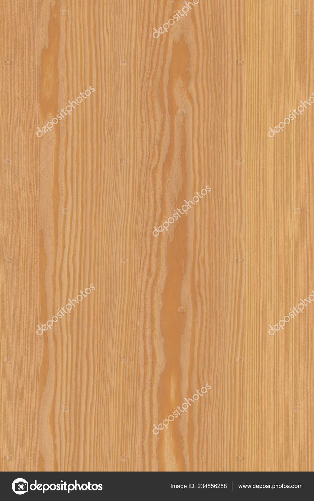 Pine Tree Wood Structure Texture Background Surface Wallpaper High Size ...
