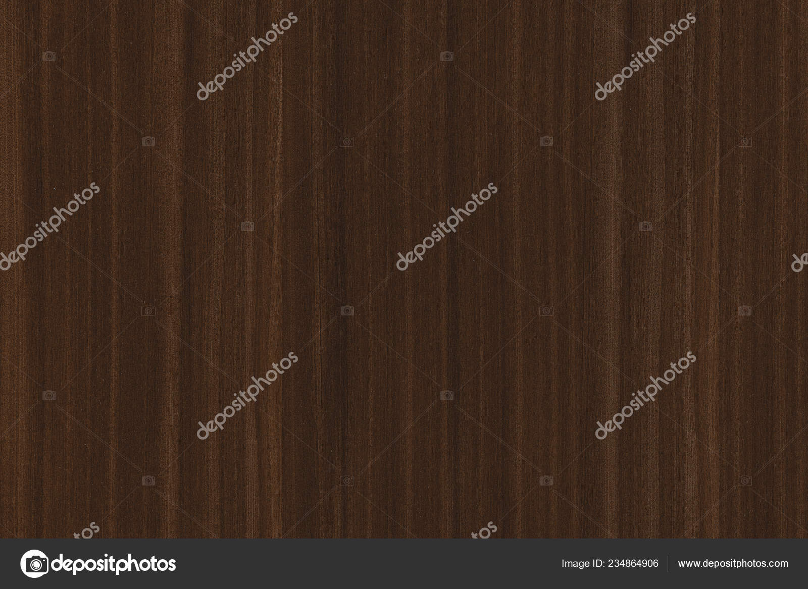 Dark Brown Walnut Timber Tree Wood Structure Texture Background ...