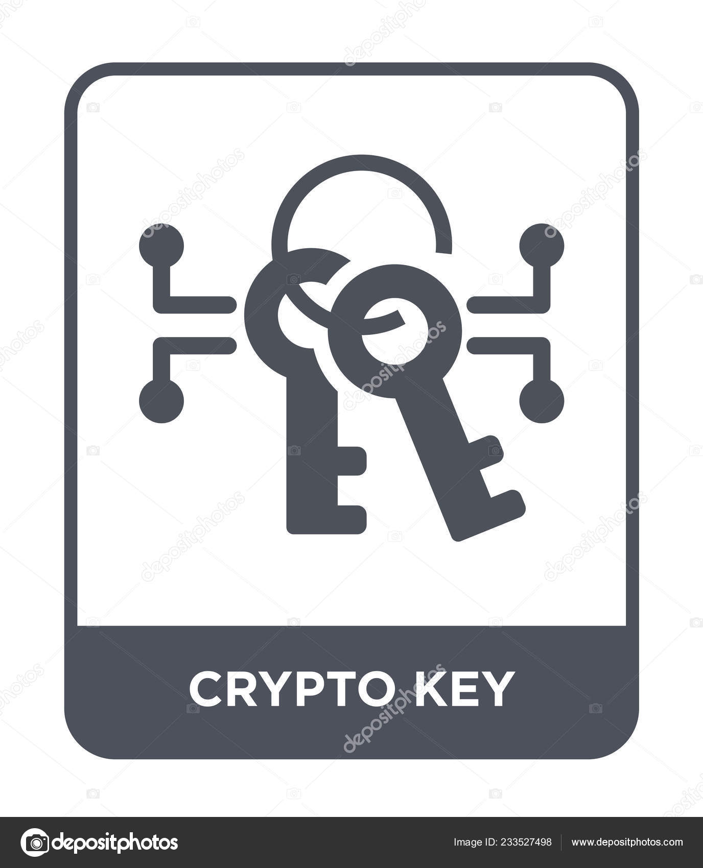 Crypto Key Icon Trendy Design Style Crypto Key Icon Isolated Stock ...