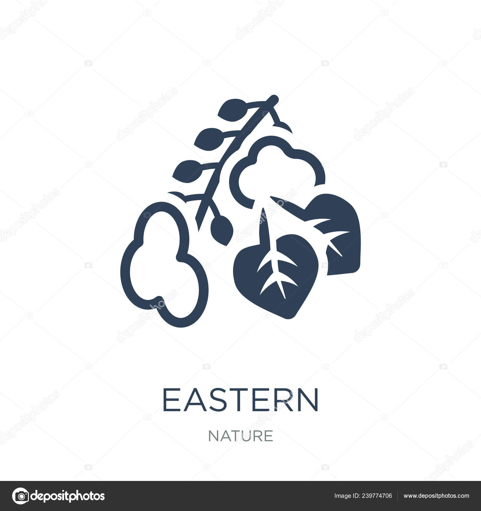 Eastern Cottonwood Tree Icon Vector White Background Eastern Cottonwood ...