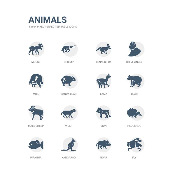 Animales de perfil Stock Photos, Royalty Free Animales de perfil Images ...