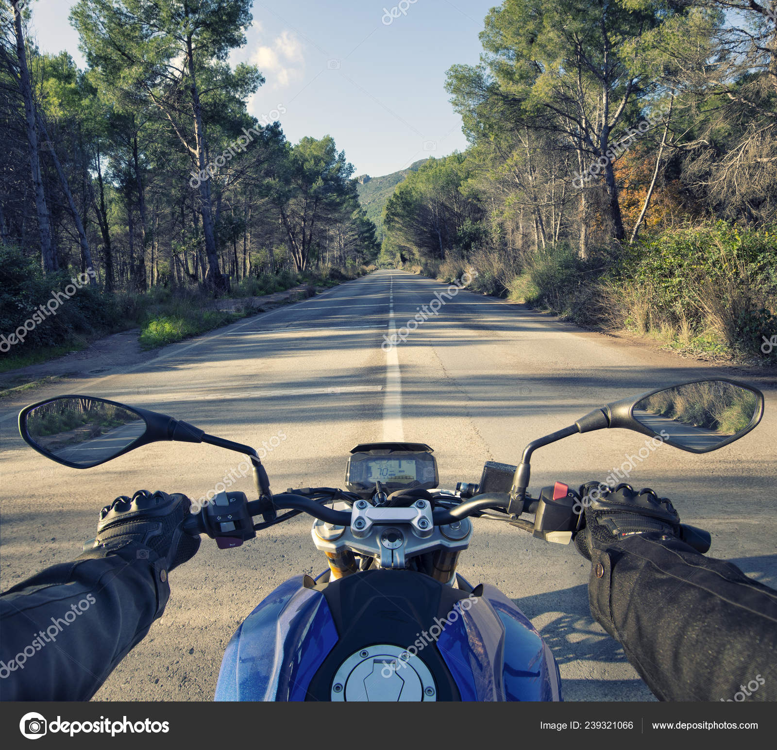 Board Motorcycle Road Crosses Forest Sunny Day — Stock Photo © Guasch ...