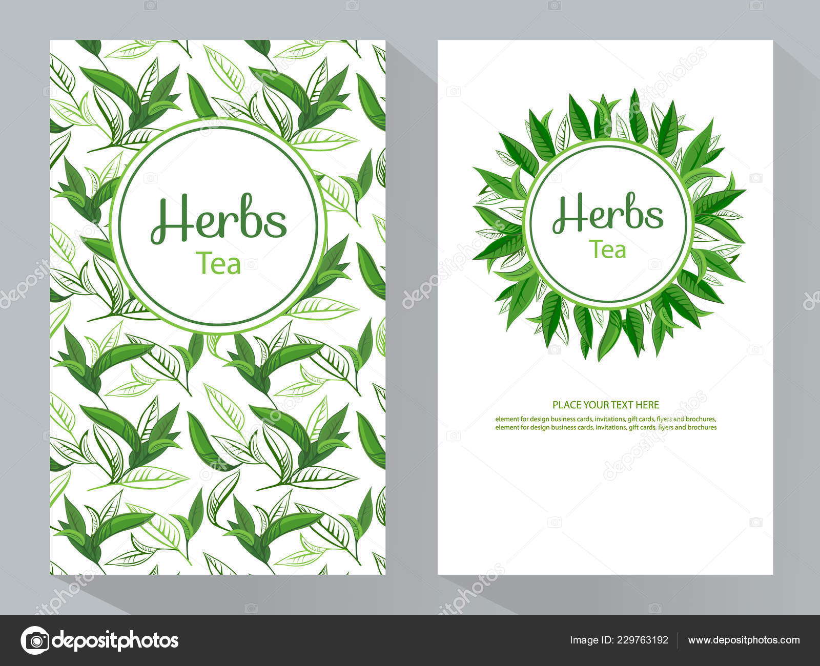Herbs Tea Vertical Banners Tea Leaves Frame Vector Illustration Line ...
