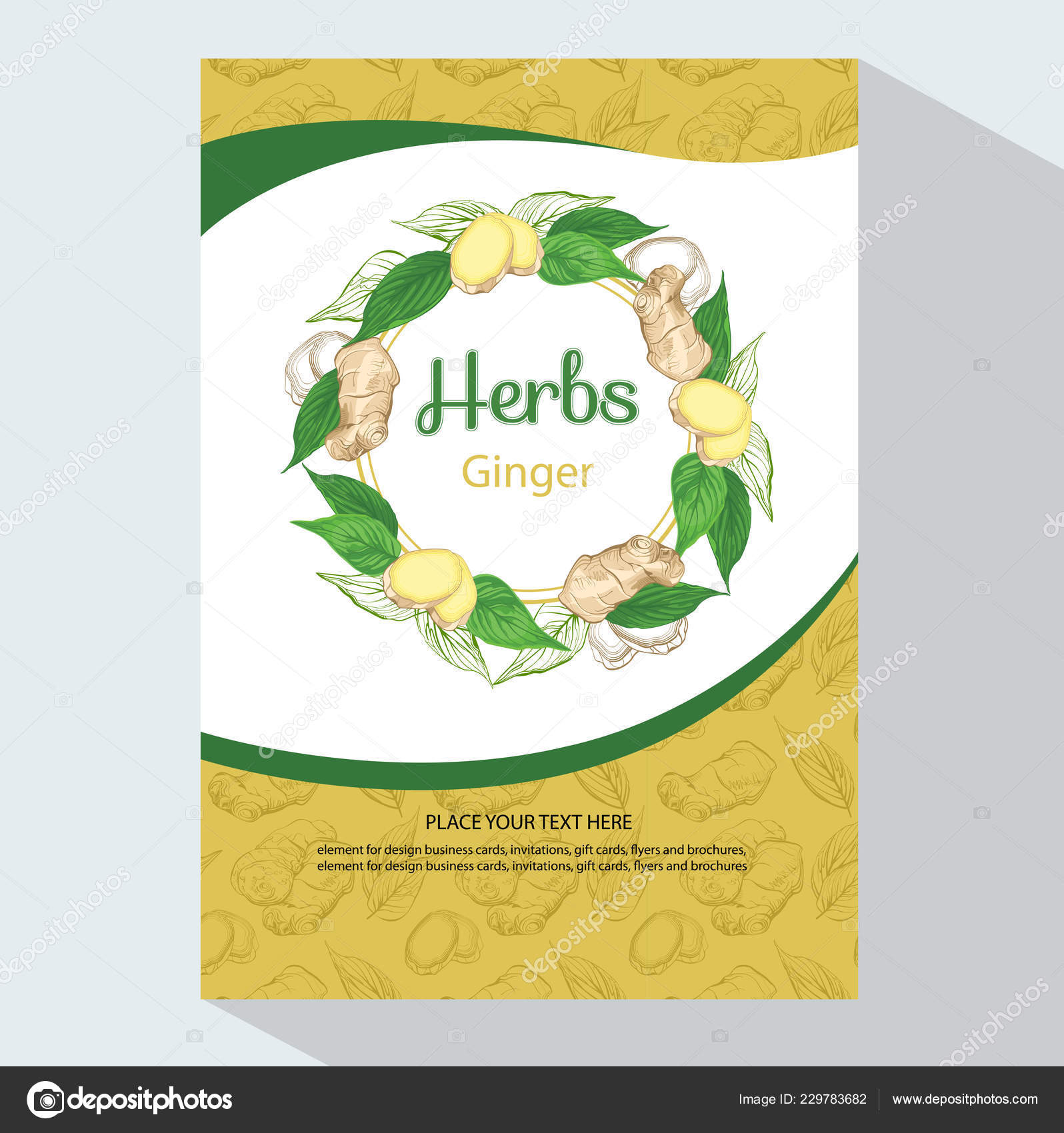Tea Branding Packaging Fresh Ginger Root Ginger Leaves Brochure Flyer ...