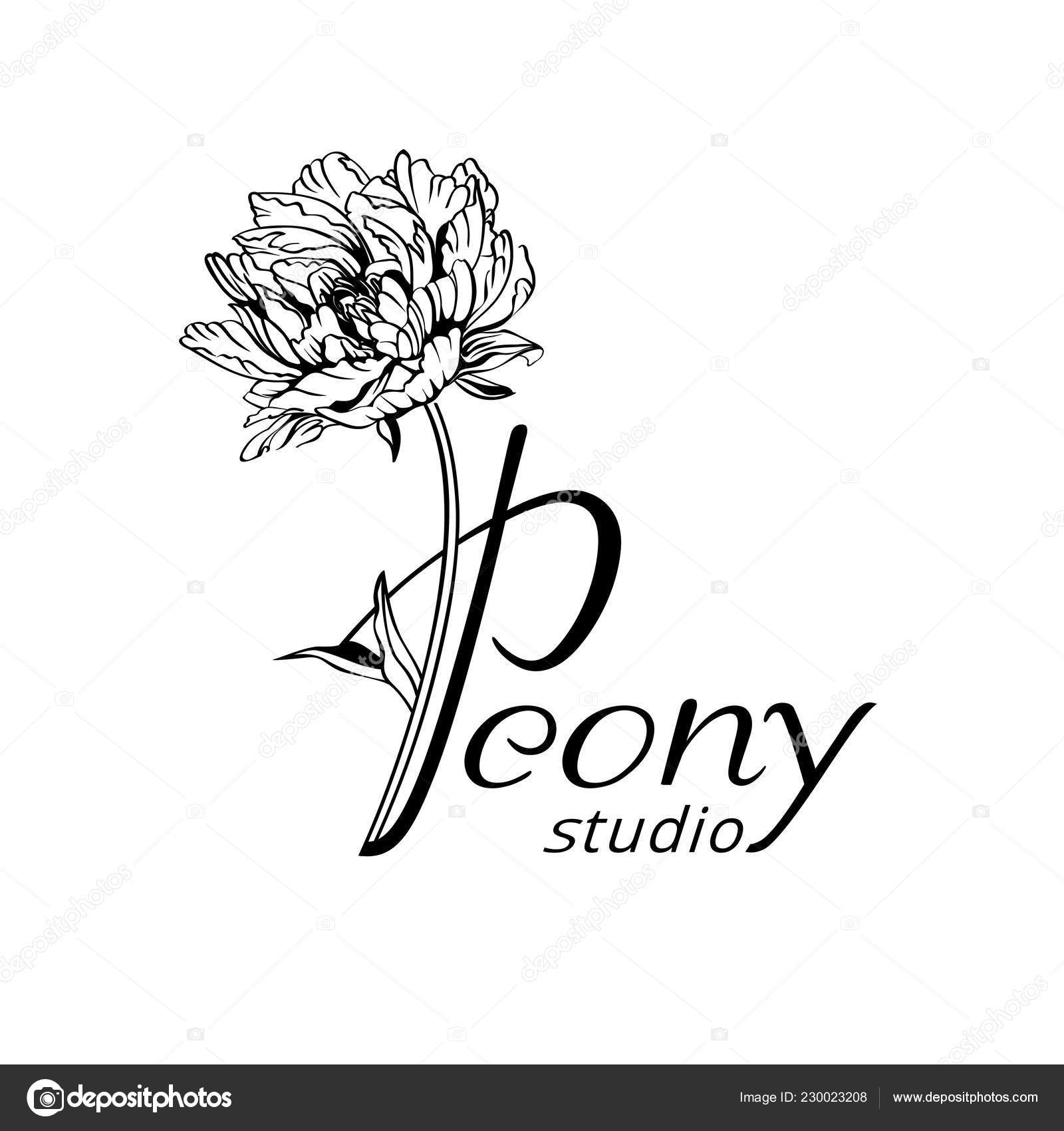 Flyer Template Peony Flower Logo Vector Illustration Stock Vector Image ...