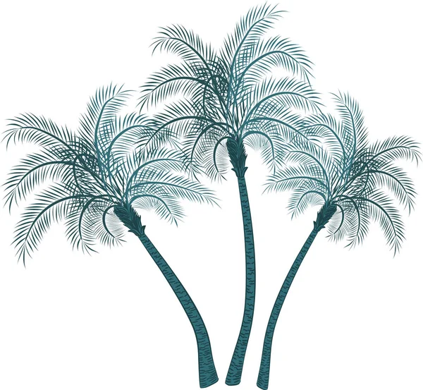 738 California palm trees Vector Images | Depositphotos