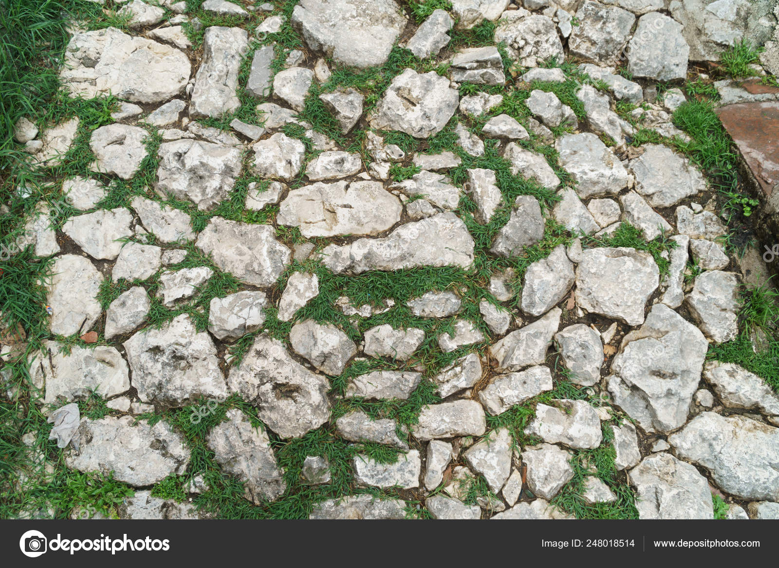 Footpath Texture With Grass