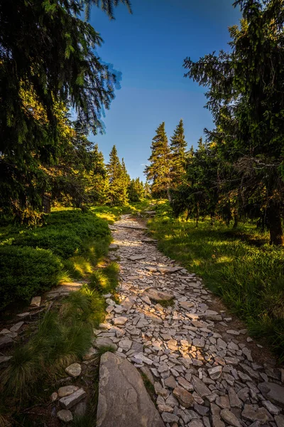 Rocky path Stock Photos, Royalty Free Rocky path Images | Depositphotos