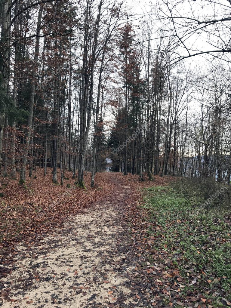 Vista lateral de las ruinas de la residencia de Adolf Hitler "Berghof ...