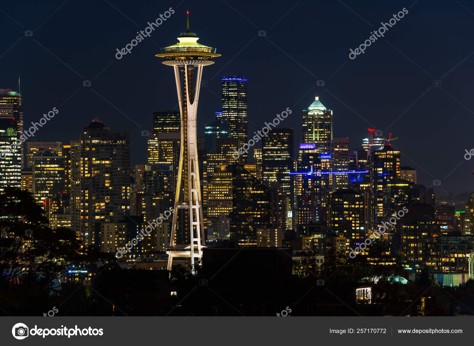 Night view of the Seattle skyline with the Space Needle and other ...