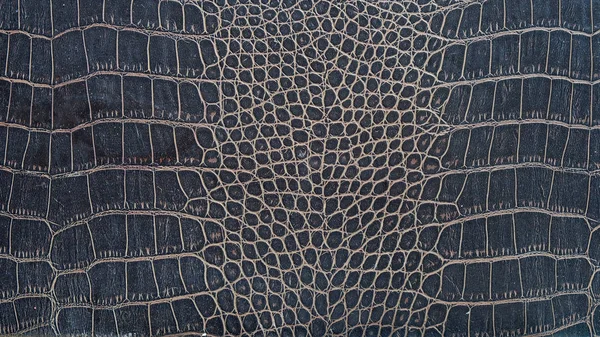 Crocodile Leather Pattern Used Background Stock Photo by ©fastfun23 ...