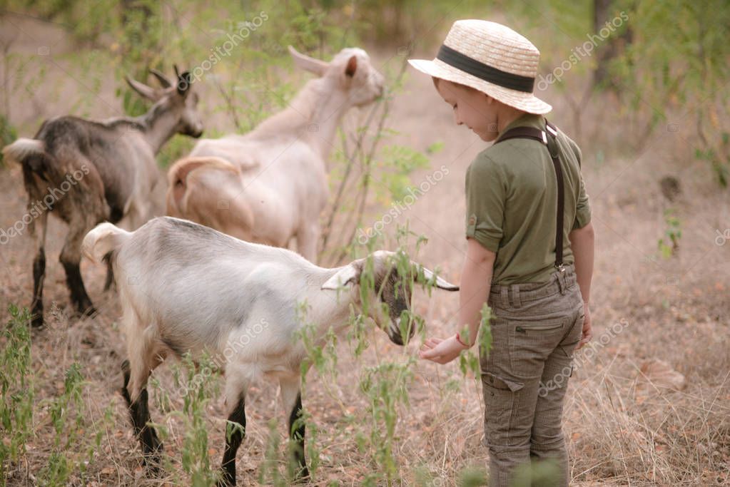 Little Boy Straw Hat Goats Summer Countryside — Stock Photo © Capable97 ...