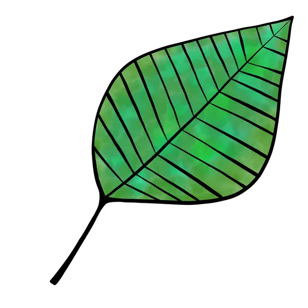 Green Leaf Drawing