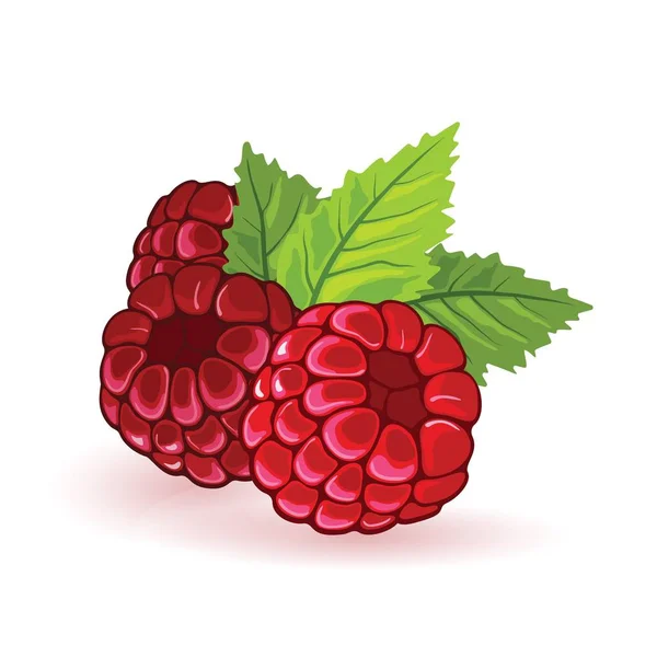 100,000 Raspberry logo Vector Images | Depositphotos