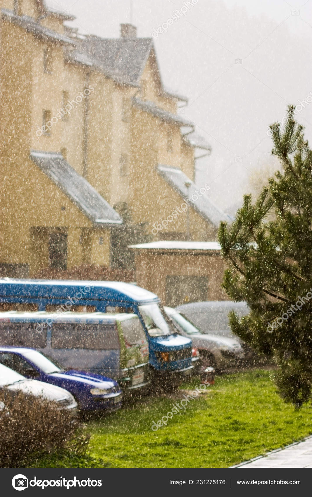Moving Raindrops Car Parking Fir Tree Foreground – Stock Editorial ...