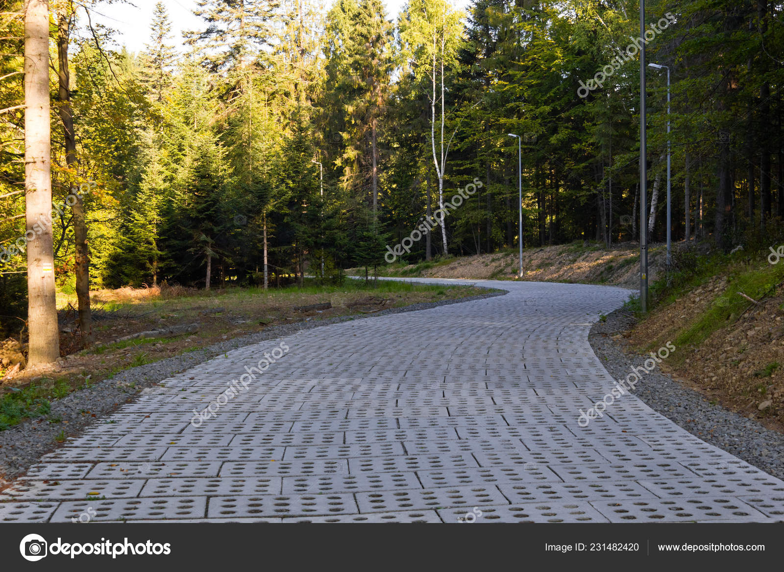Park Scene Path Greenery Sunlight — Stock Photo © ffolas #231482420