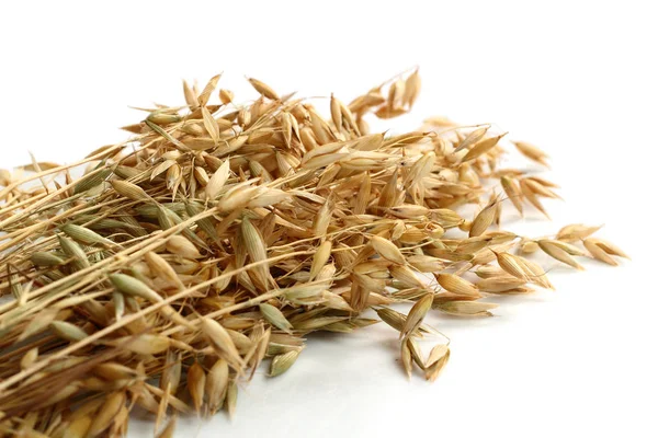 Haver graan Stock Photos, Royalty Free Haver graan Images | Depositphotos