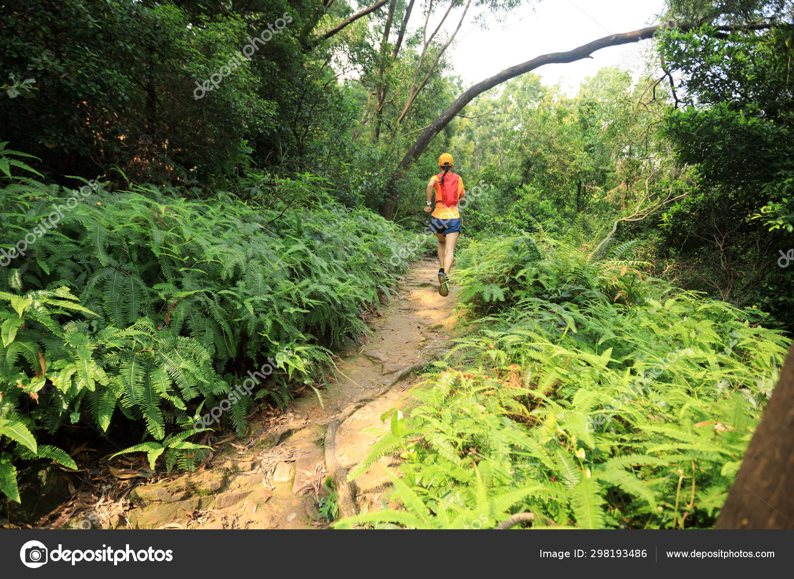 Ultramarathon Runner Running Tropical Rainforest — Stock Photo © lzf ...