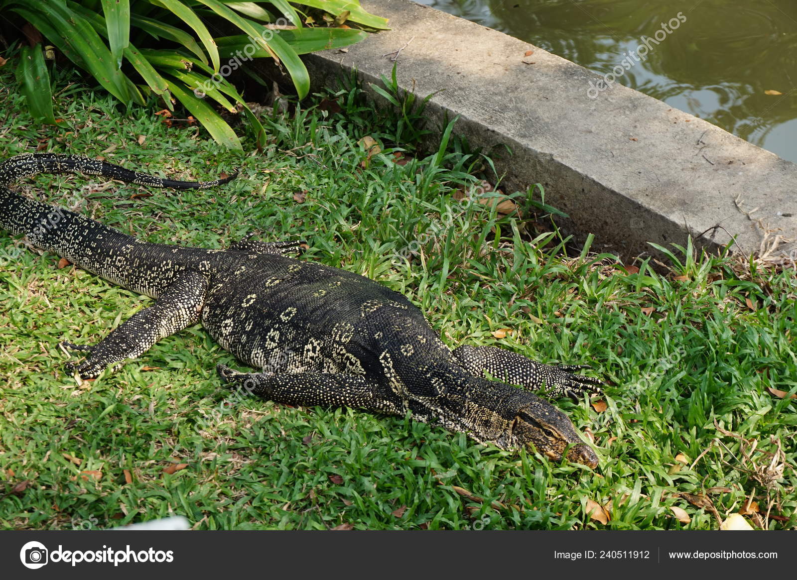 Varan Bangkok City Centre — Stock Photo © atillarahmati #240511912