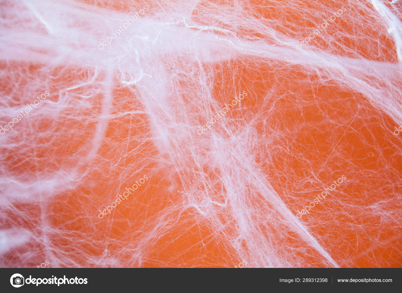 Halloween creepy cobweb spiders web with an orange background Stock ...