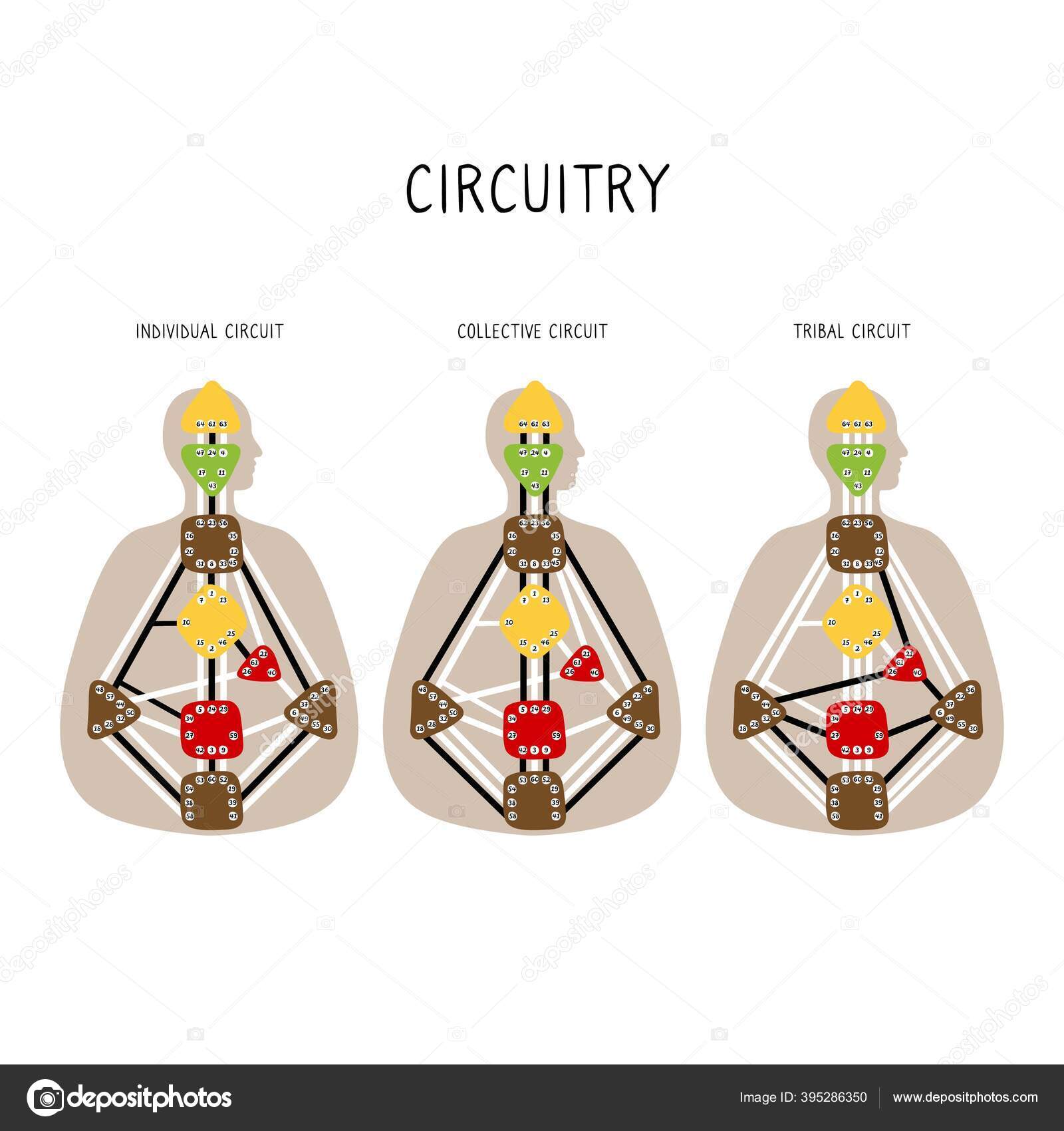 Circuito Corpo Design Humano Desenho Gráfico Corpo Desenhado Mão ...
