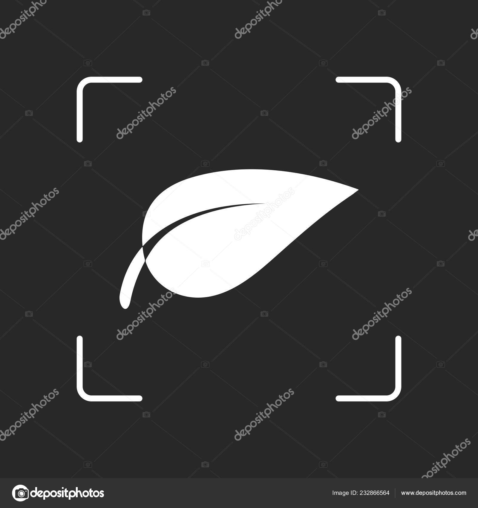 Leaf Icon White Object Camera Autofocus Dark Background Stock Vector ...