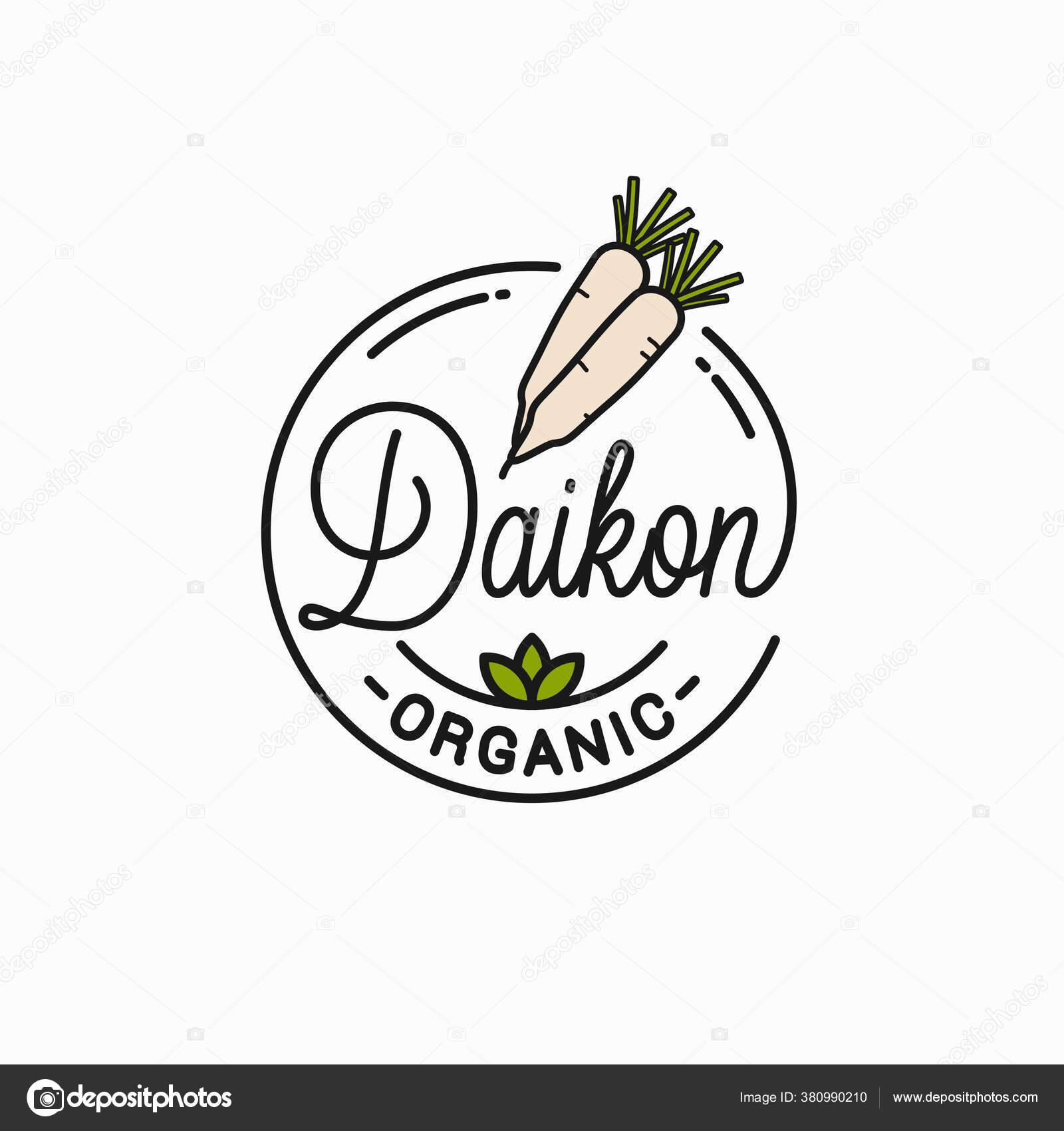 Logo de rábanos Daikon. Lineales redondos de daikons Vector de stock ...