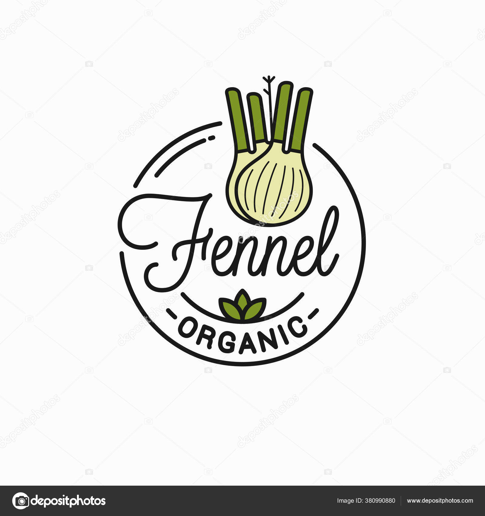 Fennel bulb logo. Round linear of fennel vegetable Stock Vector by ...