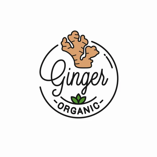 Ginger logo Vector Images | Depositphotos