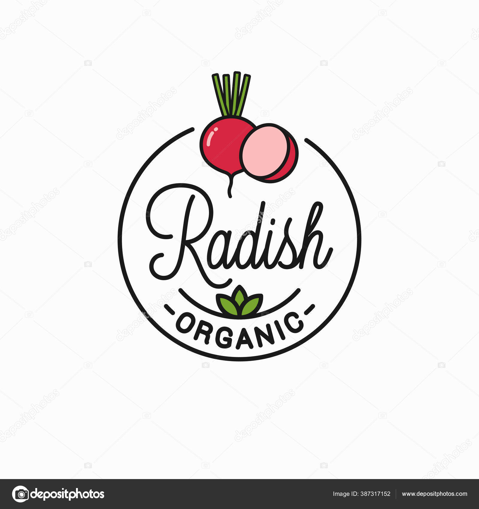 Logo de rodaja de rábano. Logo lineal redondo de rábano Vector de stock ...