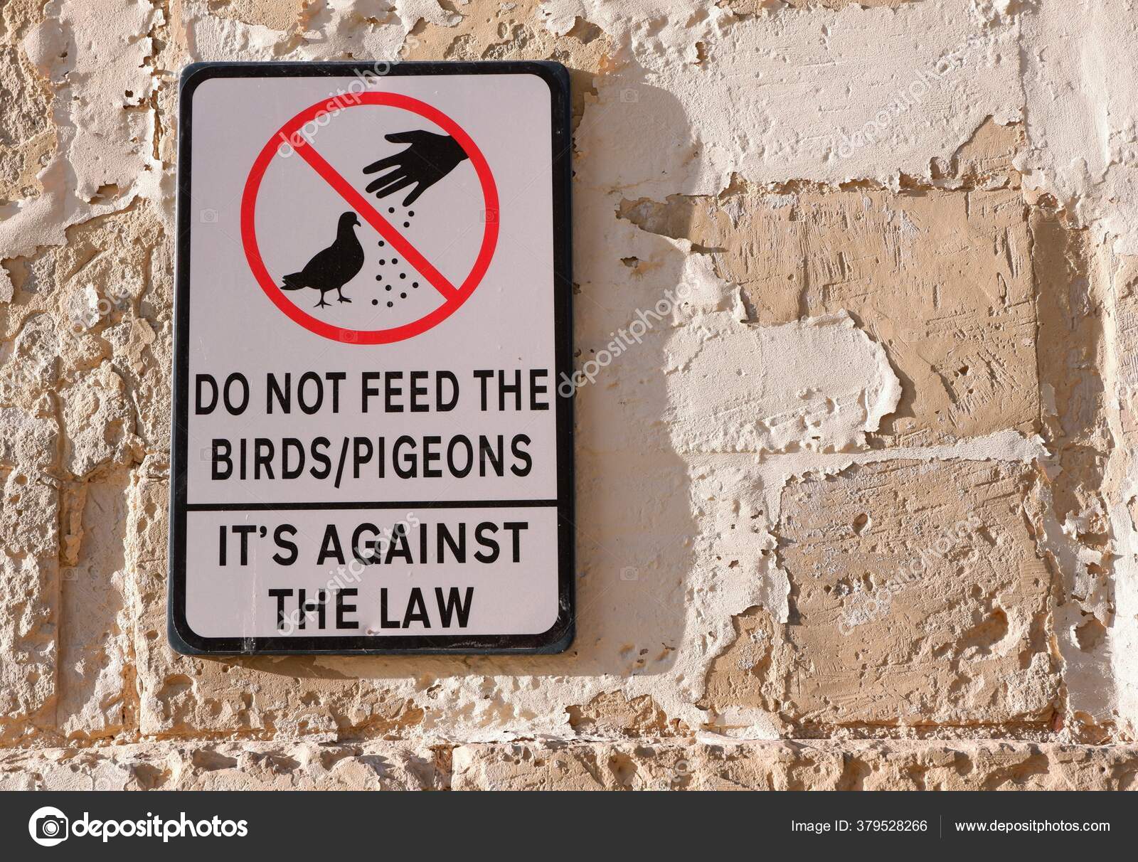 Warning Sign Saying Feed Birds Pigeons Placed Aged Sand Stone Stock ...