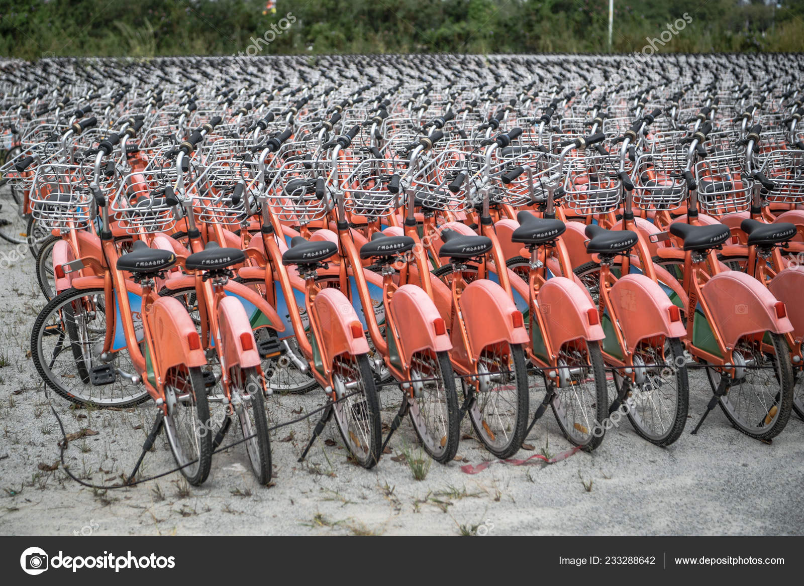 Bikes Public Bicycle Rental Service Lined Open Space Guangzhou City ...