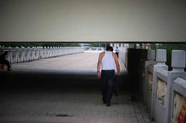 Pedestrian Stoops Walk Bridge Vehicles Built Closed Pedestrian Overpass ...
