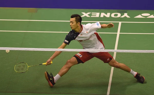 Lin dan Stock Photos, Royalty Free Lin dan Images | Depositphotos