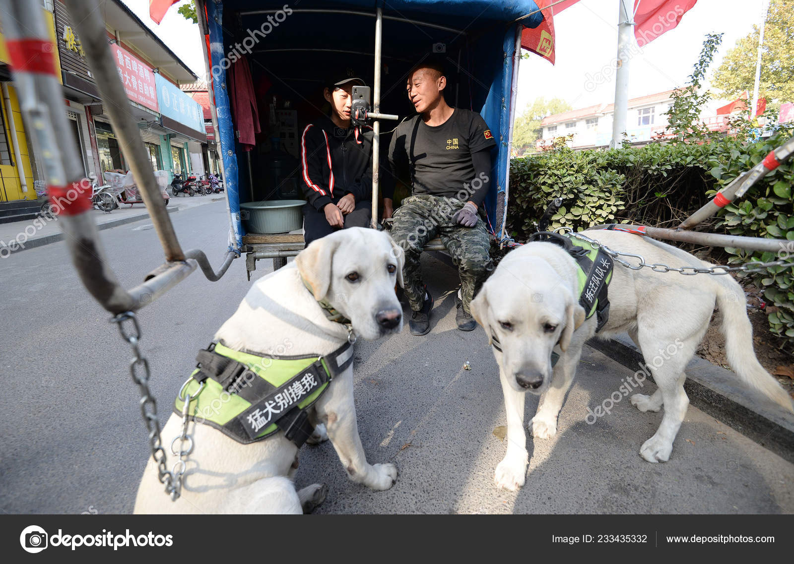 Chinese Man Cui Mingwei His Daughter Yang Yang Two Labrador — Stock ...