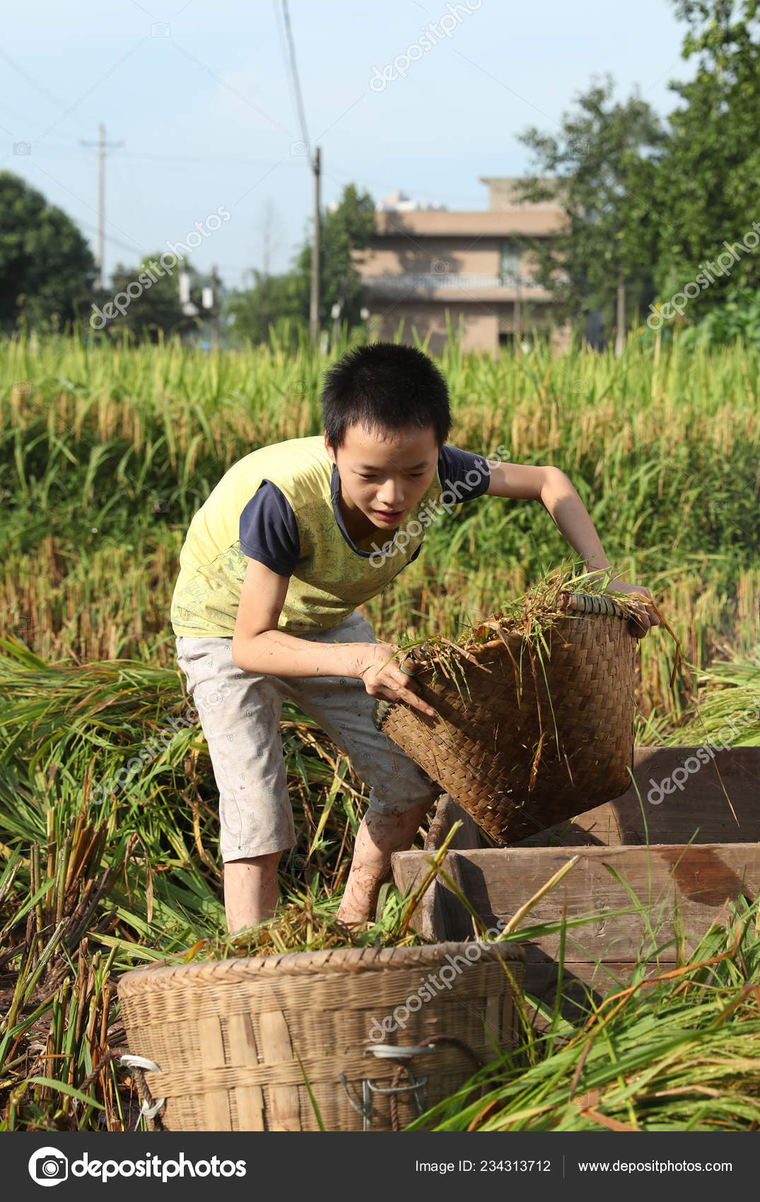 Left Child Helps Farm Work Songjiaya Village Gaoxing Town Huaying ...