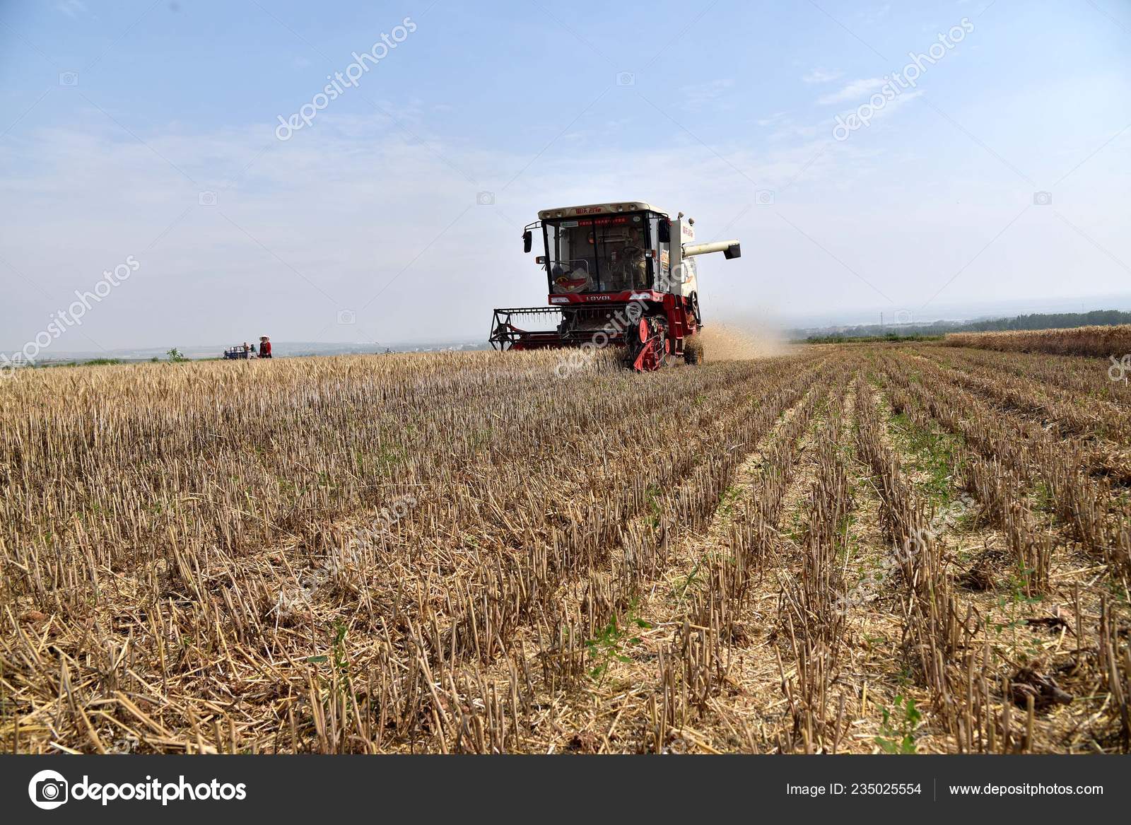 Reaping Machine Harvests Wheat Field Gaotou Village Baiyang Town Yiyang ...