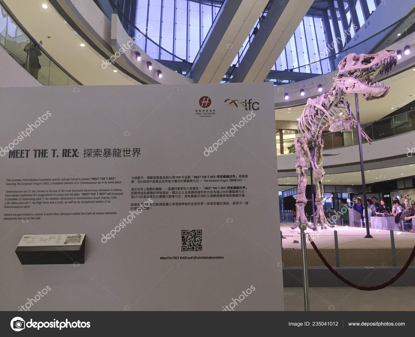 Real Fossilized Skeleton Tyrannosaurus Rex Display Meet Rex Ifc Mall ...